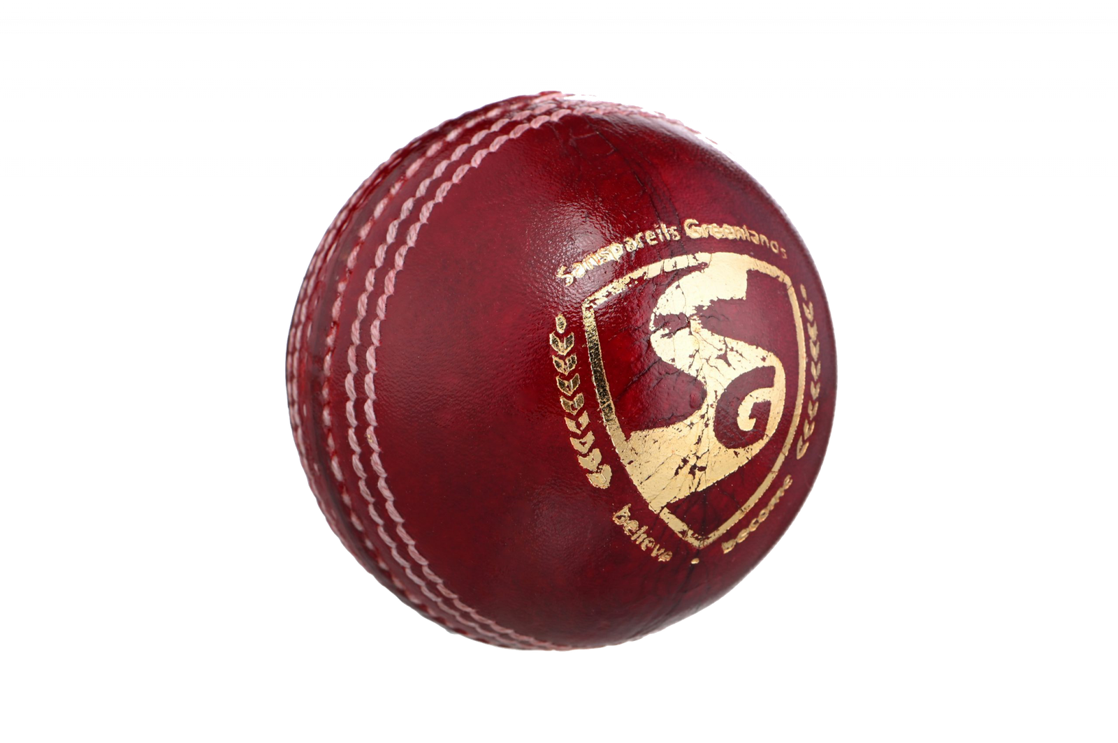 TeamSG – Cricket Bole Toh SG Baki Sab Time Pass